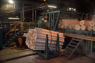 How is Plywood Made - FA Mitchell